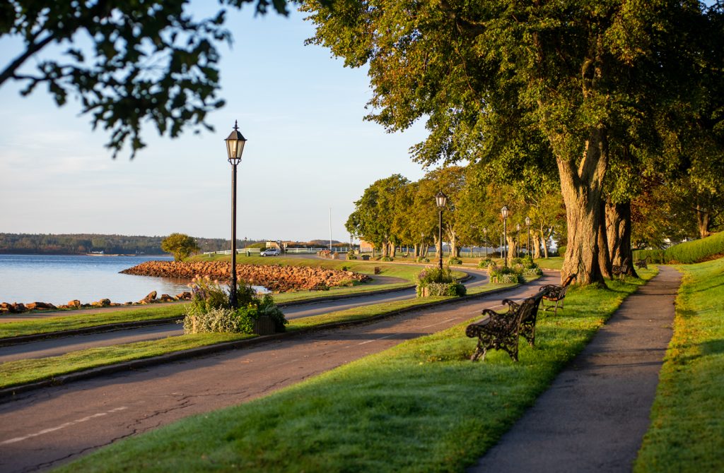 Sections - The Island Walk